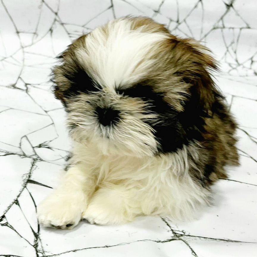 Обаятельный малыш