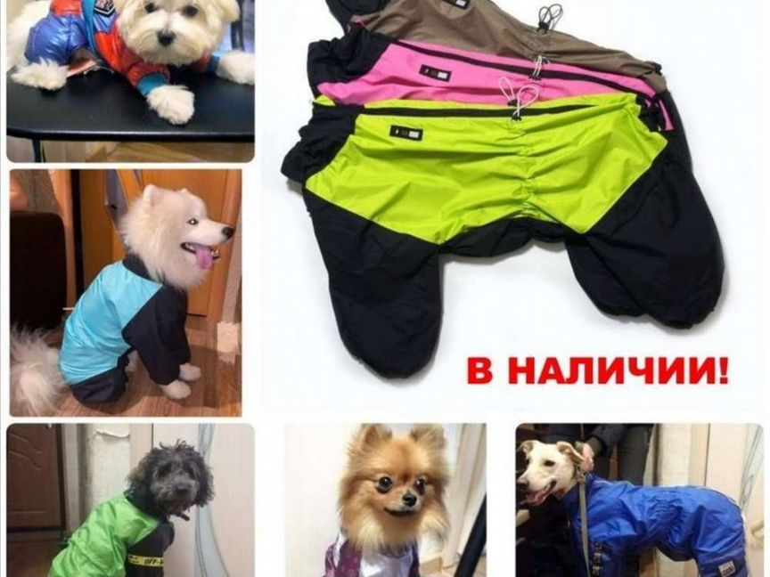 Одежда для собак