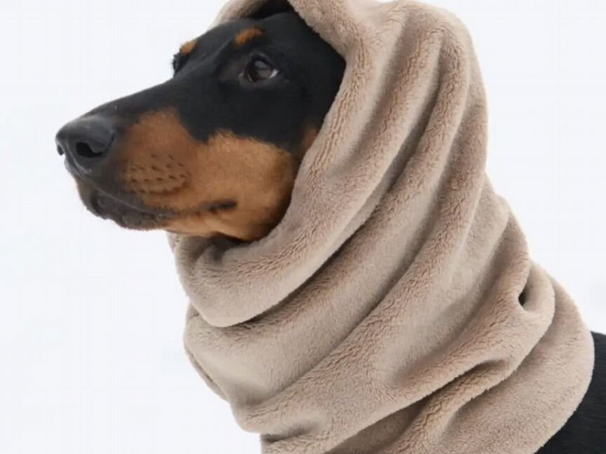 Капор-снуд для собак