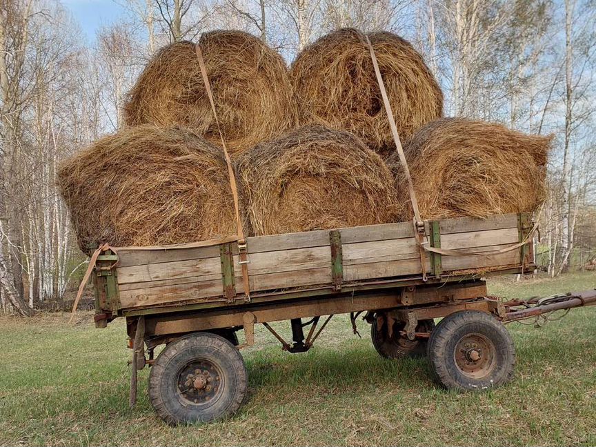 Продам сено в рулонах