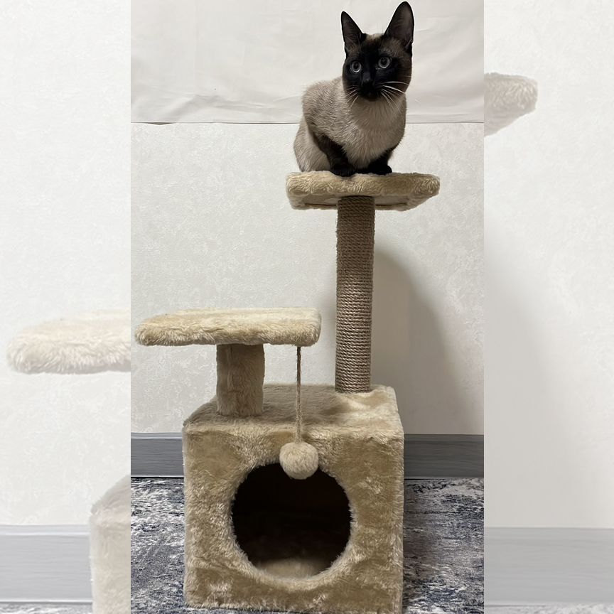 Когтеточка с домиком бу