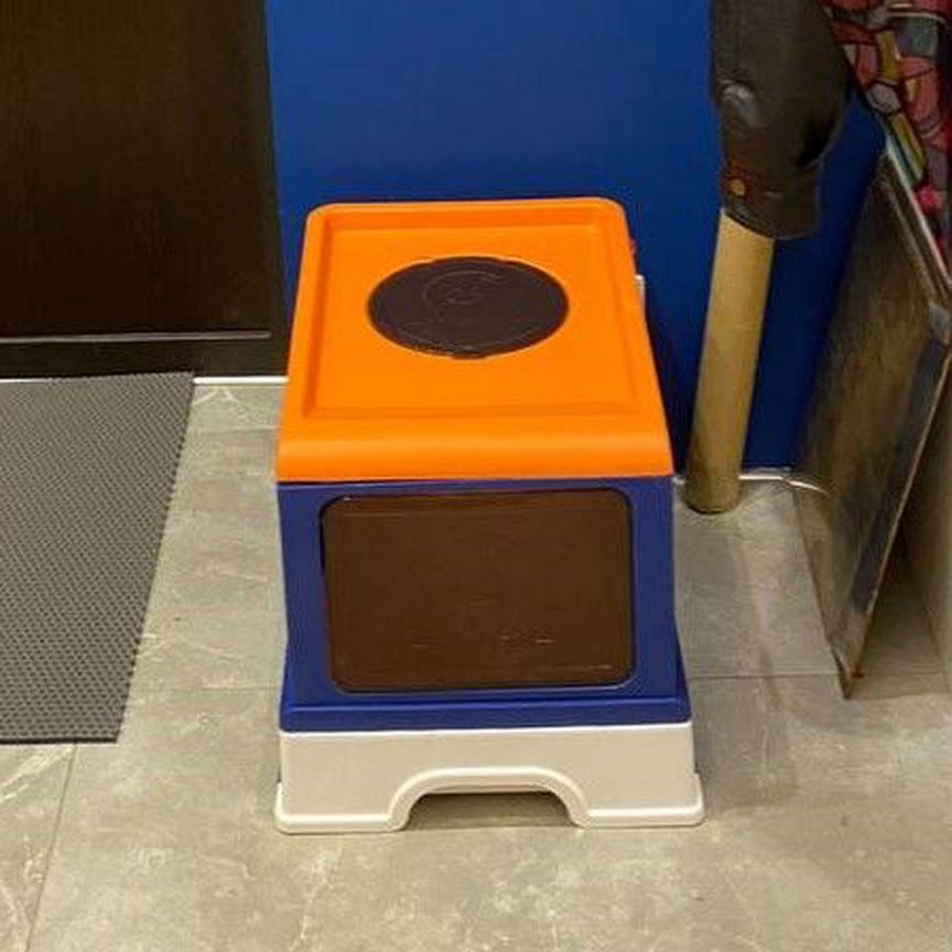 Кошачьи принадежности