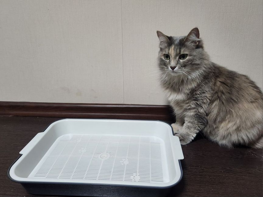 Туалет лоток для кошек с сеткой