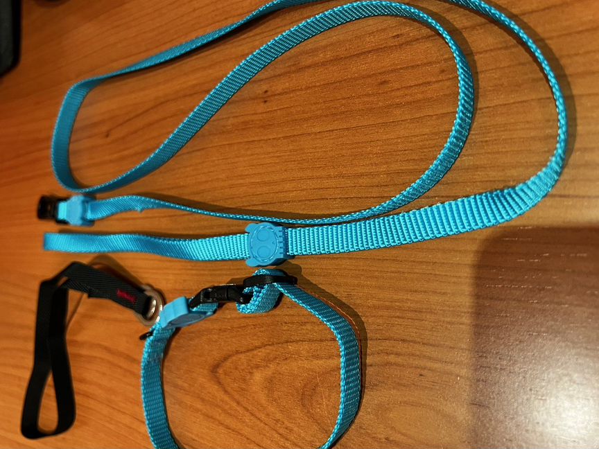Ошейник,поводок zee.dog для собаки до 12П-ов