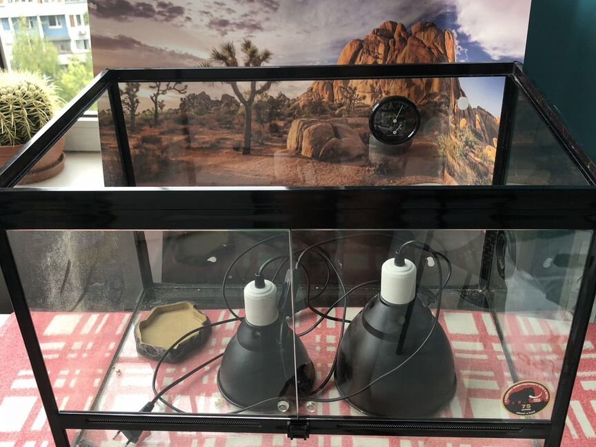 Террариум Petpetzone