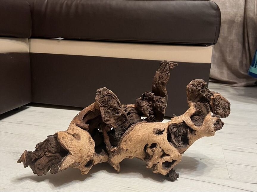 Коряга мангровая для террариума