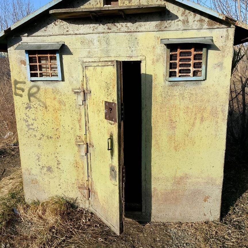 Голубятня продажа