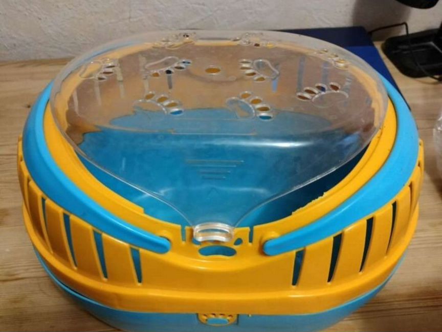 Переноска аренда