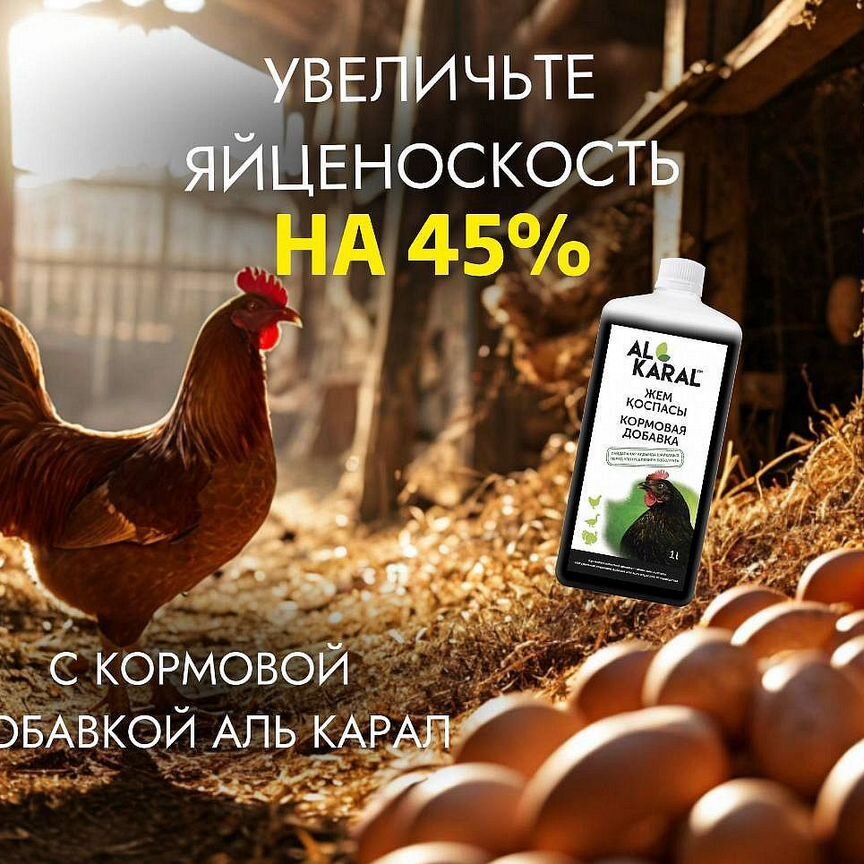 Био добавка для кур, натуральный состав