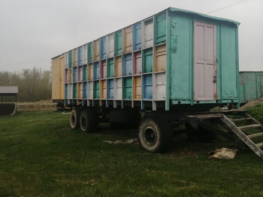 Пчелопавильон