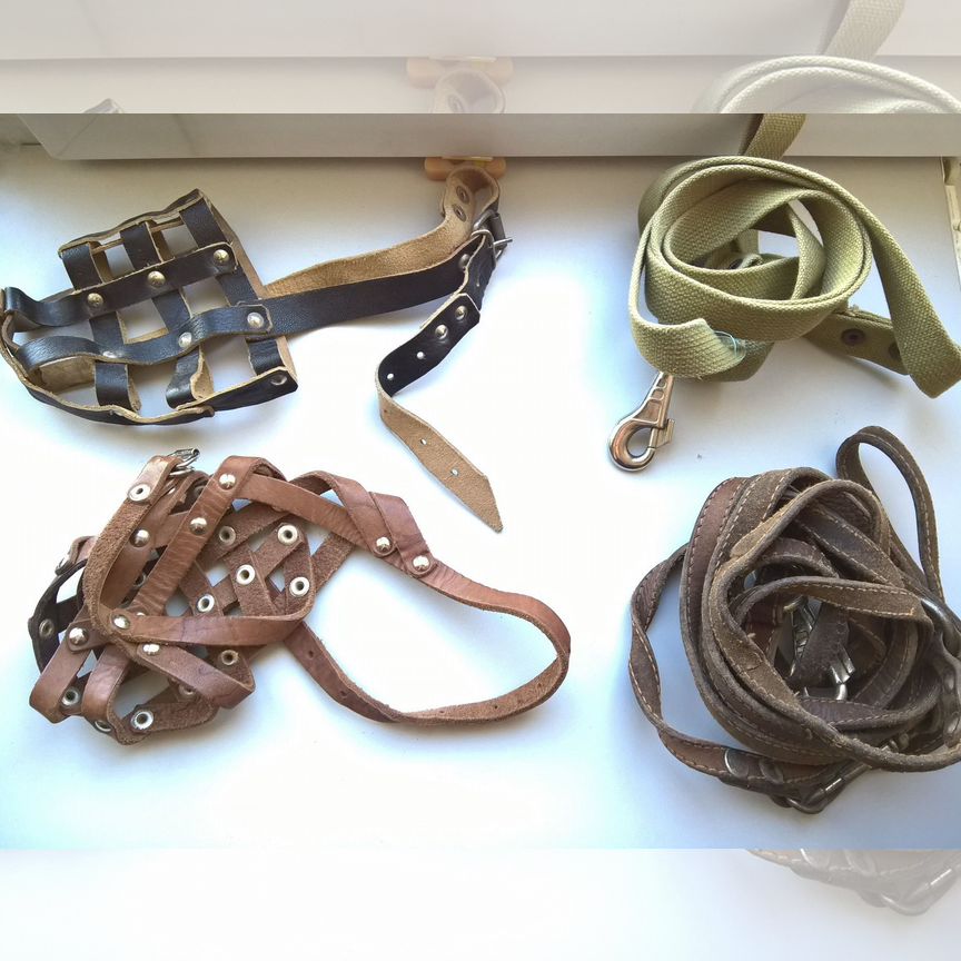 Одним лотом, намордники и поводки для собак