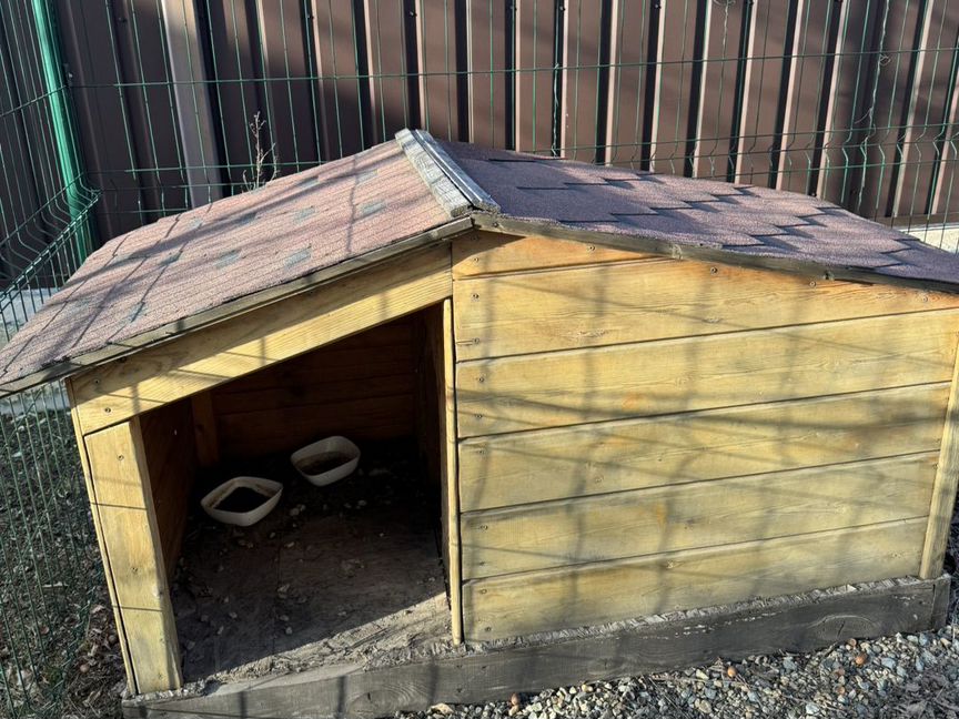 Будка вольер для собаки