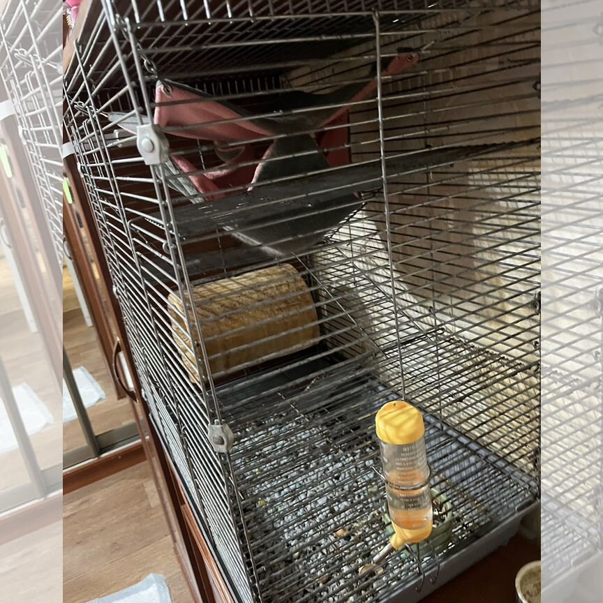 Клетка для крыс