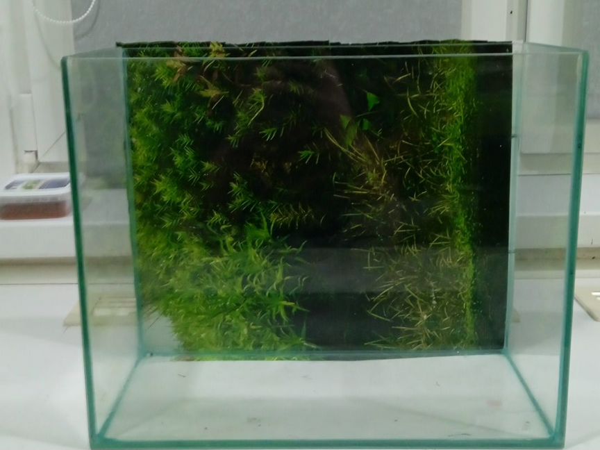 Аквариум 15л