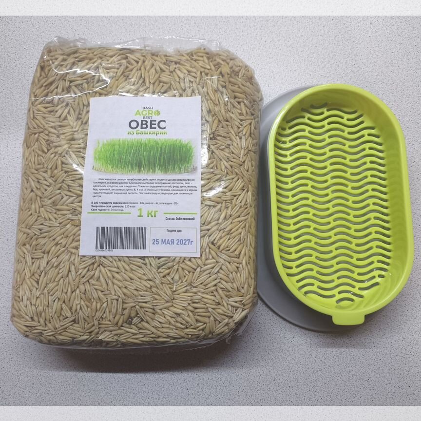 Набор для выращивания травы кошкам и собакам