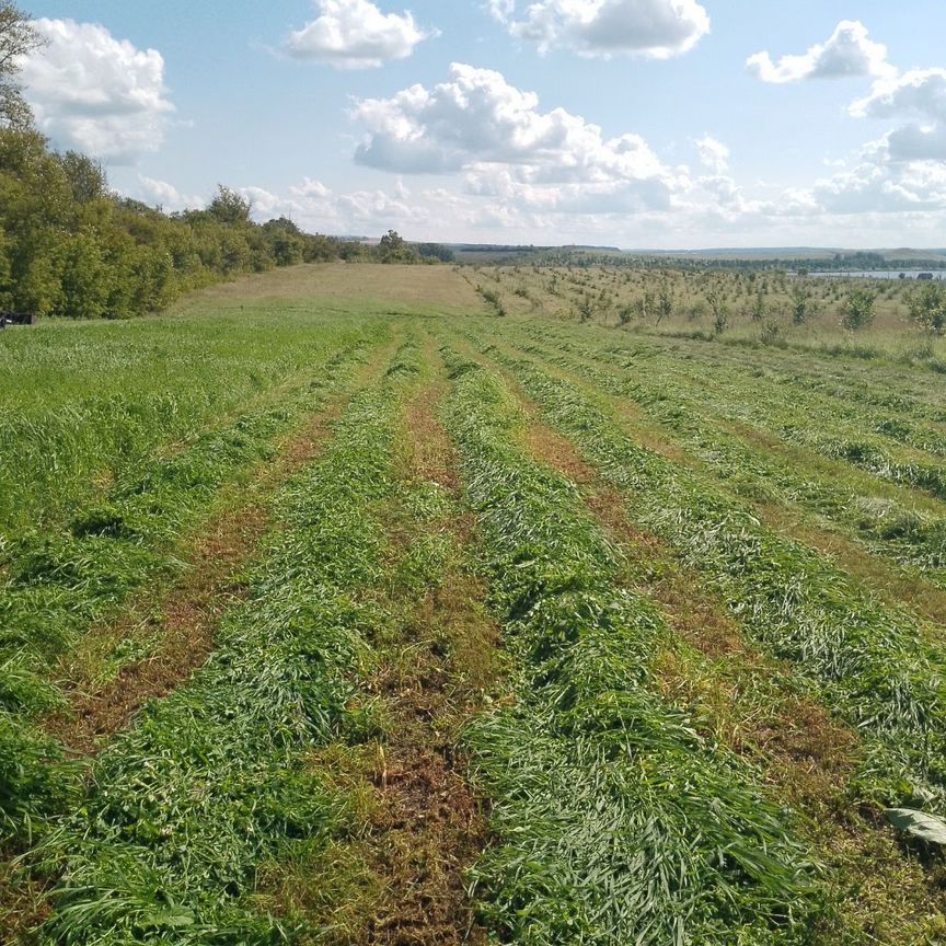 Люцерна сено костёр разнотравие 180 прес 120