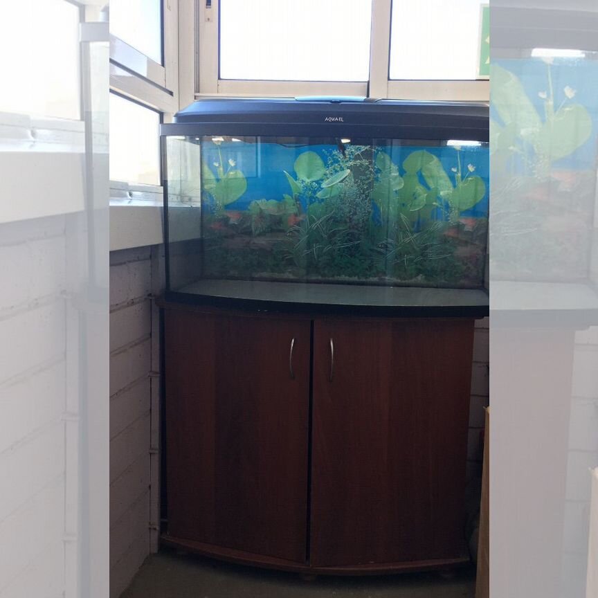 Аквариум с тумбой