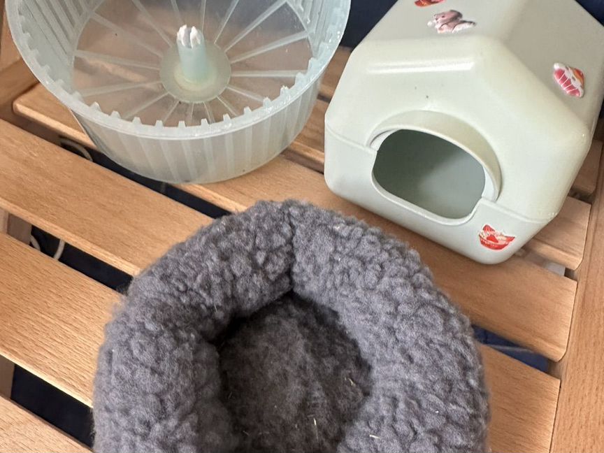 Принадлежности для хомячка