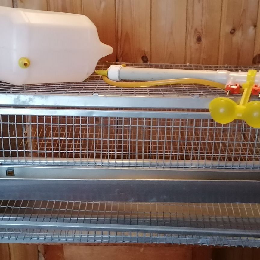 Клетка для перепелок