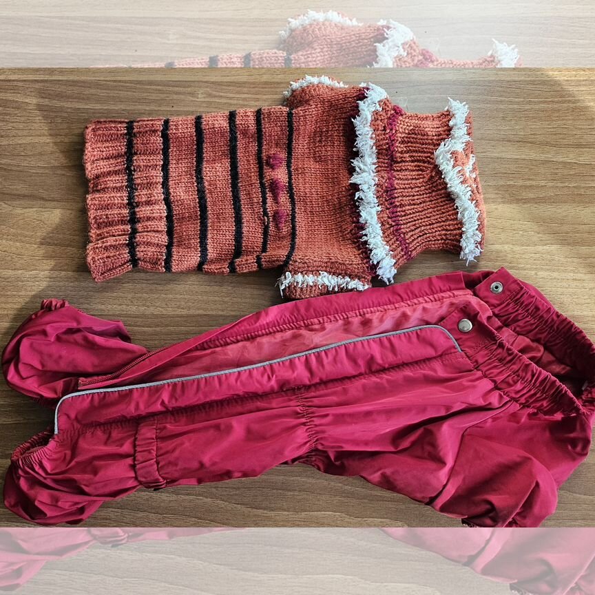 Комбинезон демисезонный для таксы (для девочки)