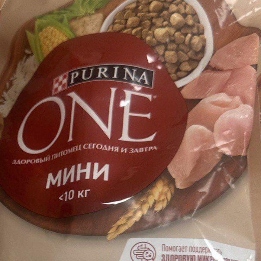 Корм для собак