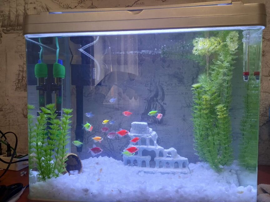 Аквариум с декорациями и рыбками