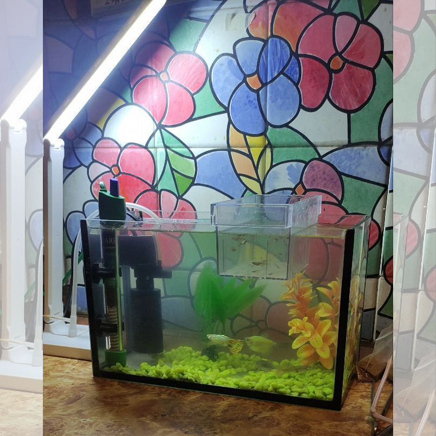 Аквариум с рыбками 7 л