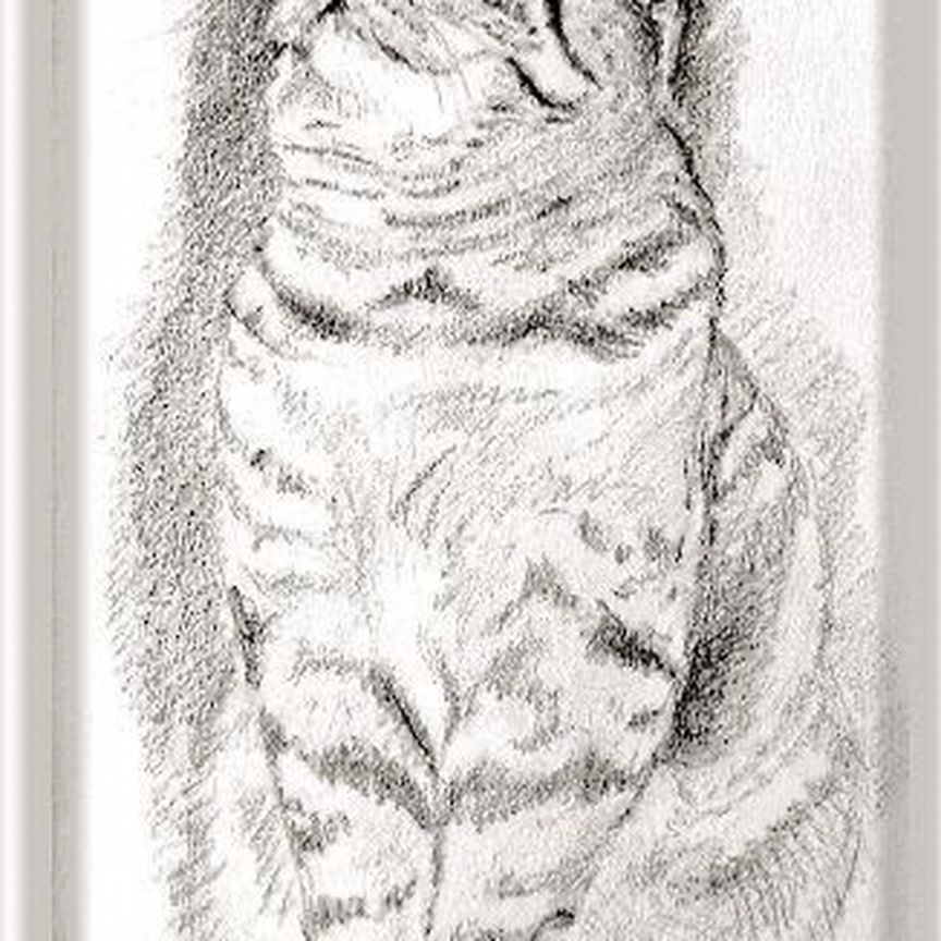 Рисую ваших питомцев