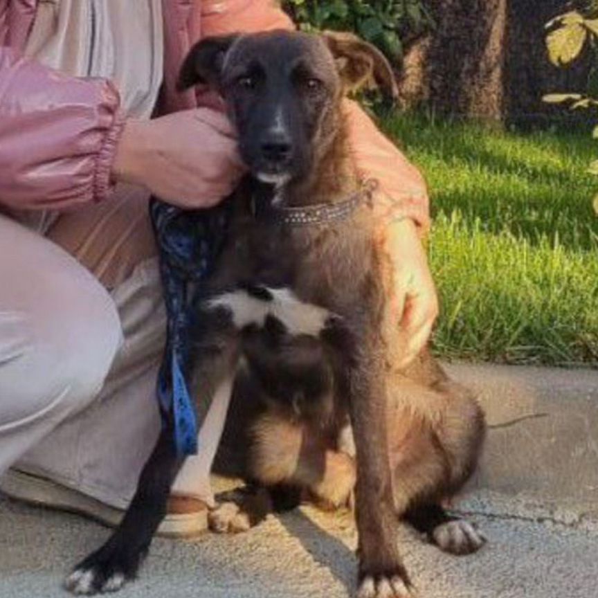 Мальчик ищет семью