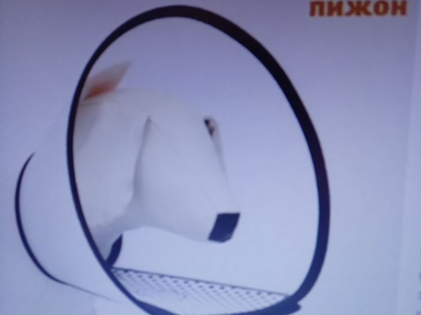 Ветеринарный воротник #7