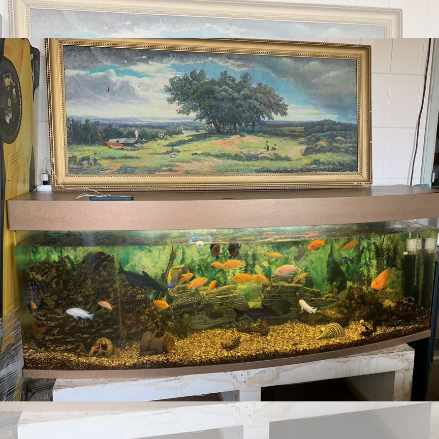 Аквариум панорамный 700 литров