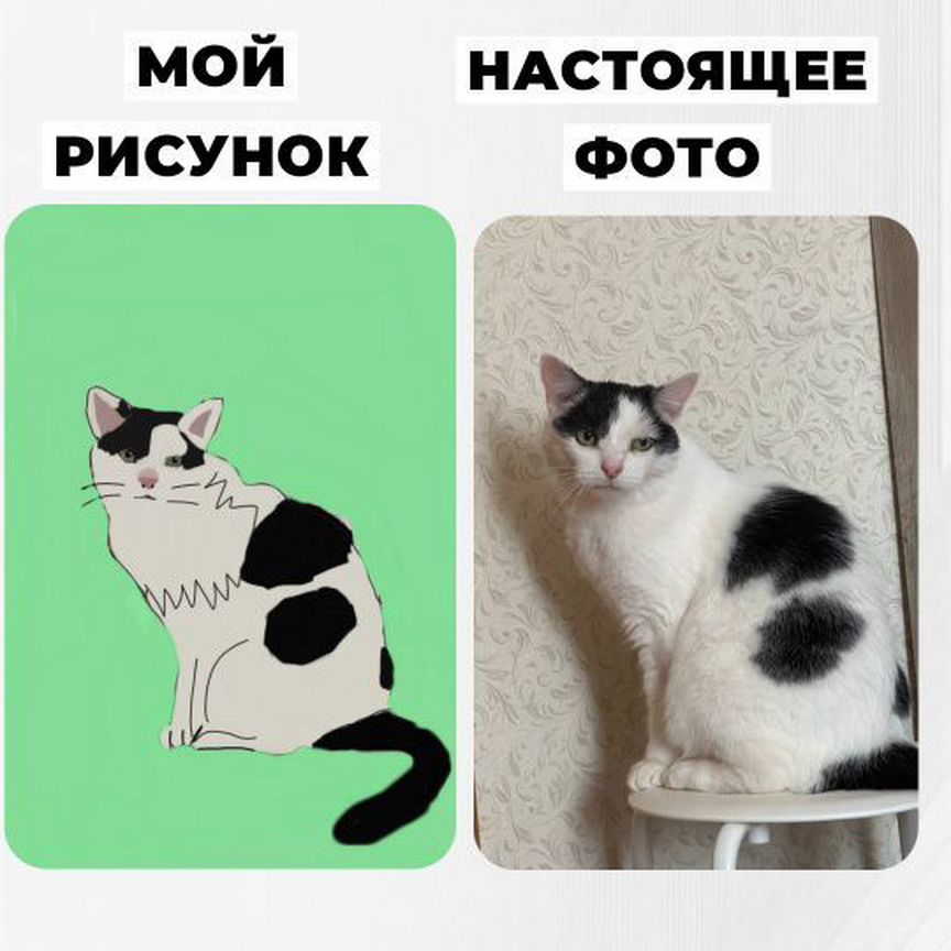 Рисунок вашего питомца