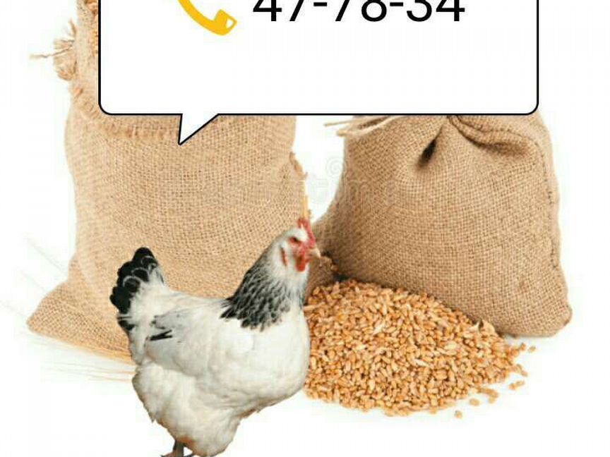 Пшеница, кукуруза, ячмень, дерть в мешках