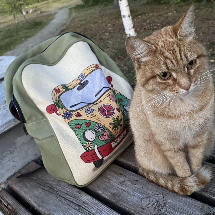 Отдам в добрые руки кошку