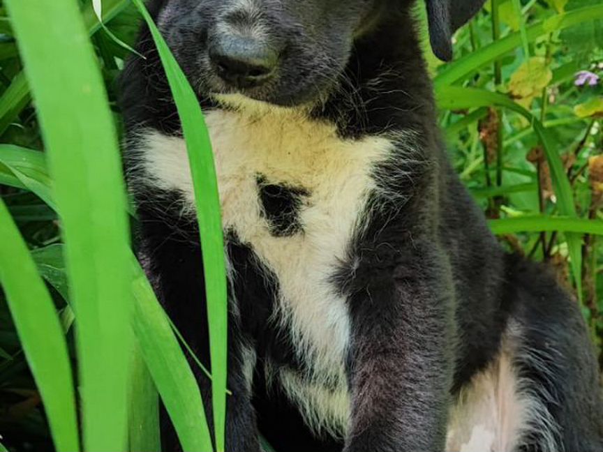 Я буду очень красивой и большой