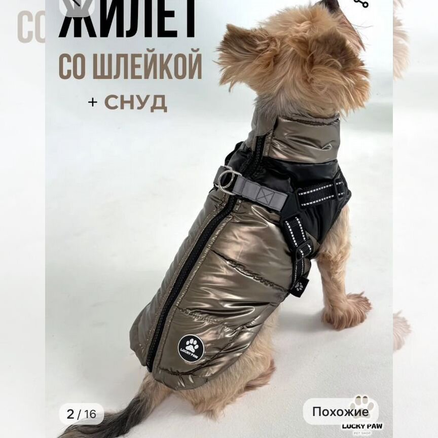 Продам жилет для собаки