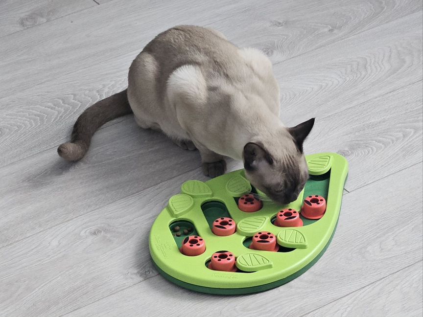 Игрушка для кошек