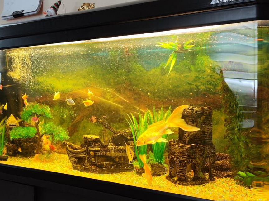 Аквариум с тумбой