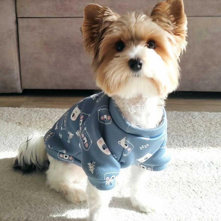 Бивер