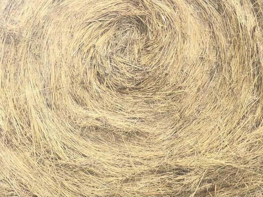 Сено