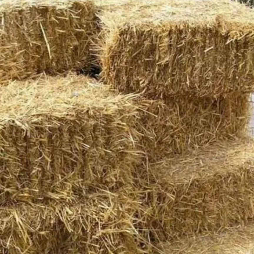Солома в тюках