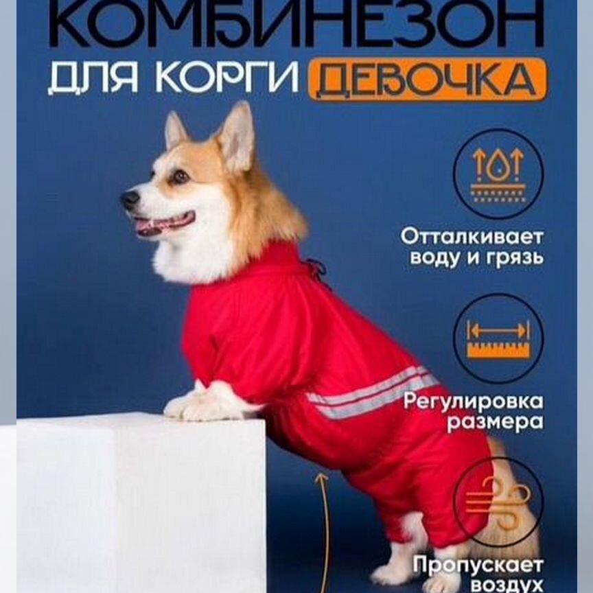 Комбенизон для корги девочки