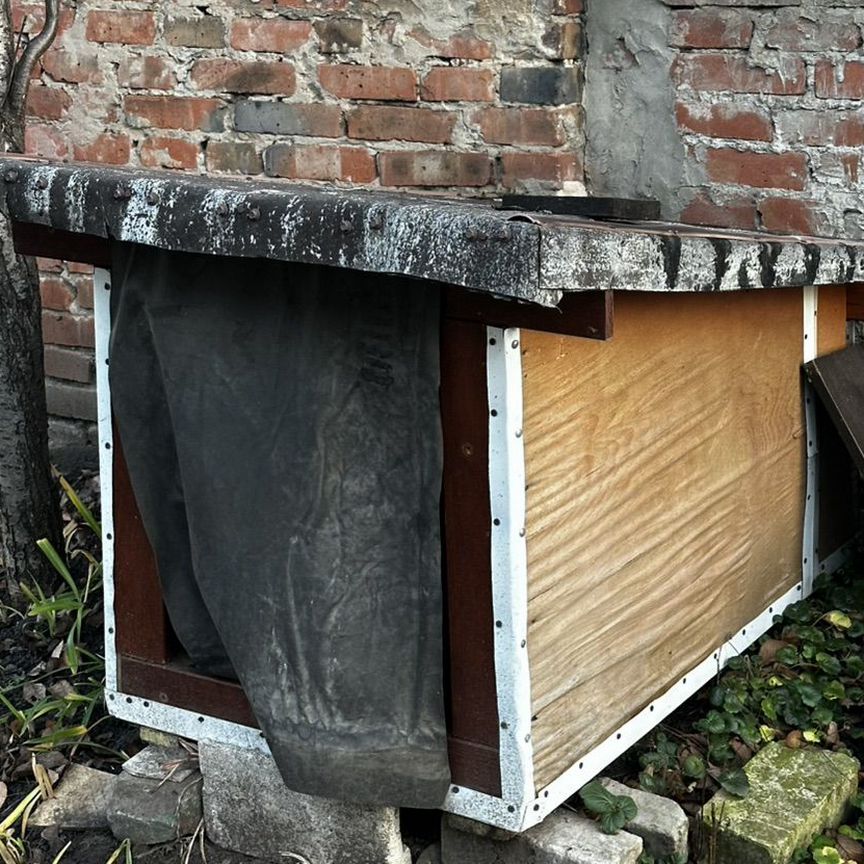 Будка для собаки