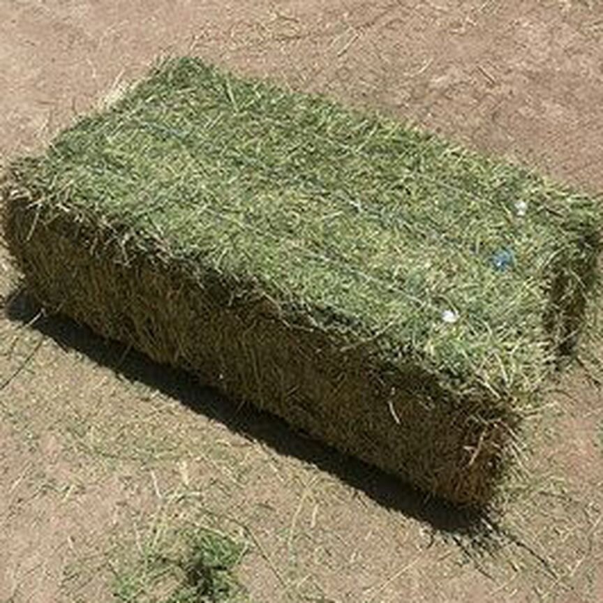 Сено в тюках