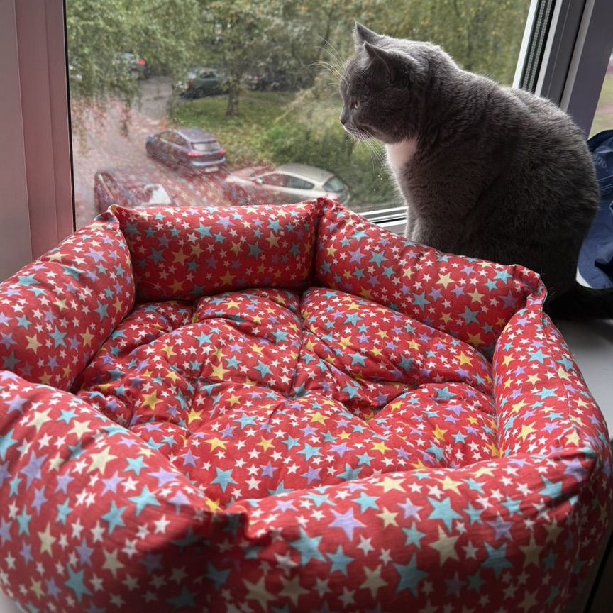 Лежанка для кошек