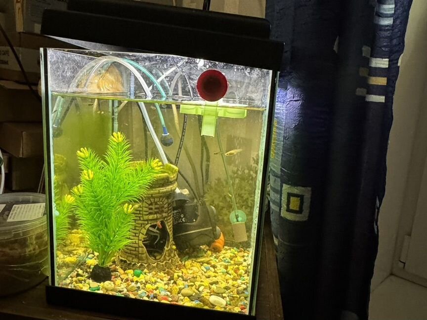 Аквариум с рыбками и оборудованием