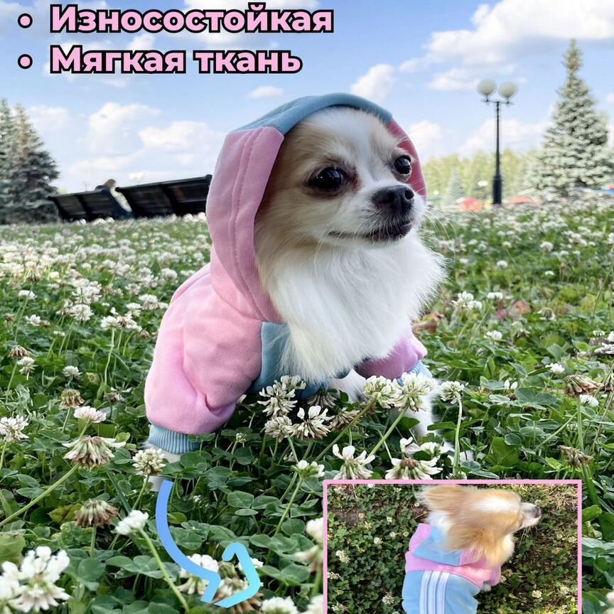 Худи для собак