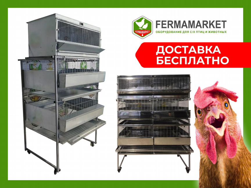 Клетки бройлеров, кур-несушек Жуков