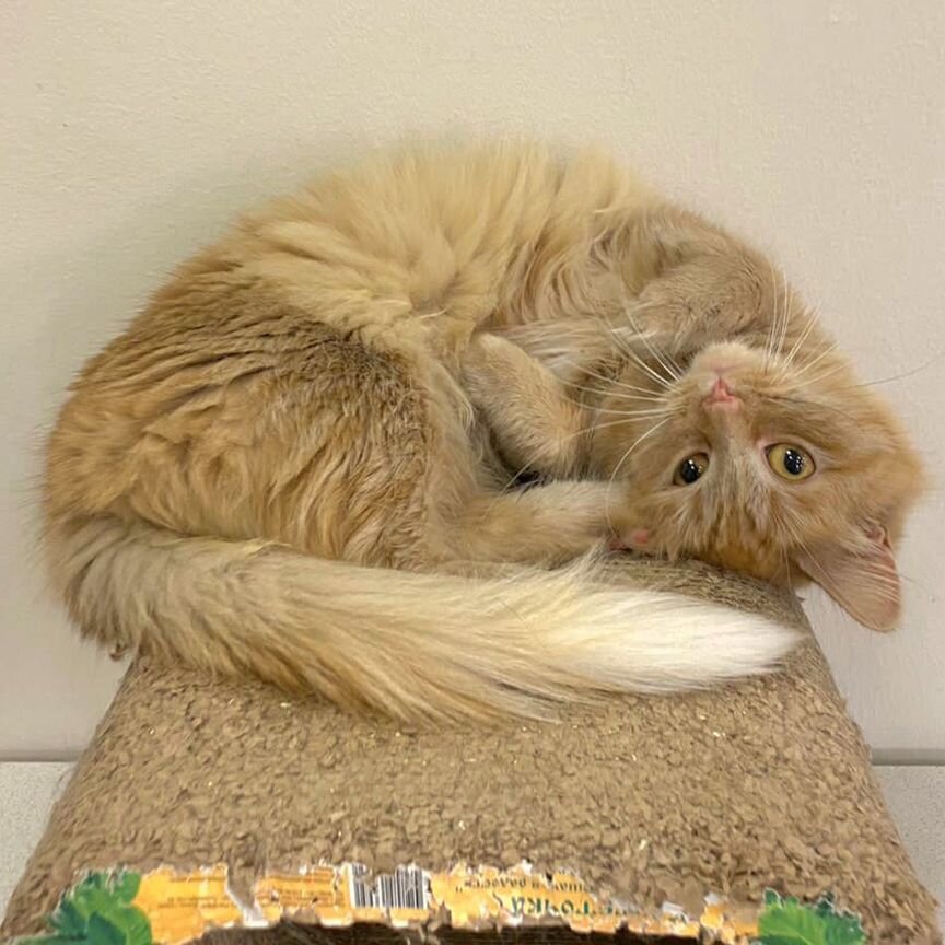 Никто не замечает