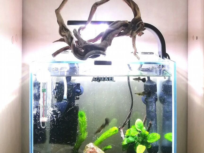 Коряга для аквариума